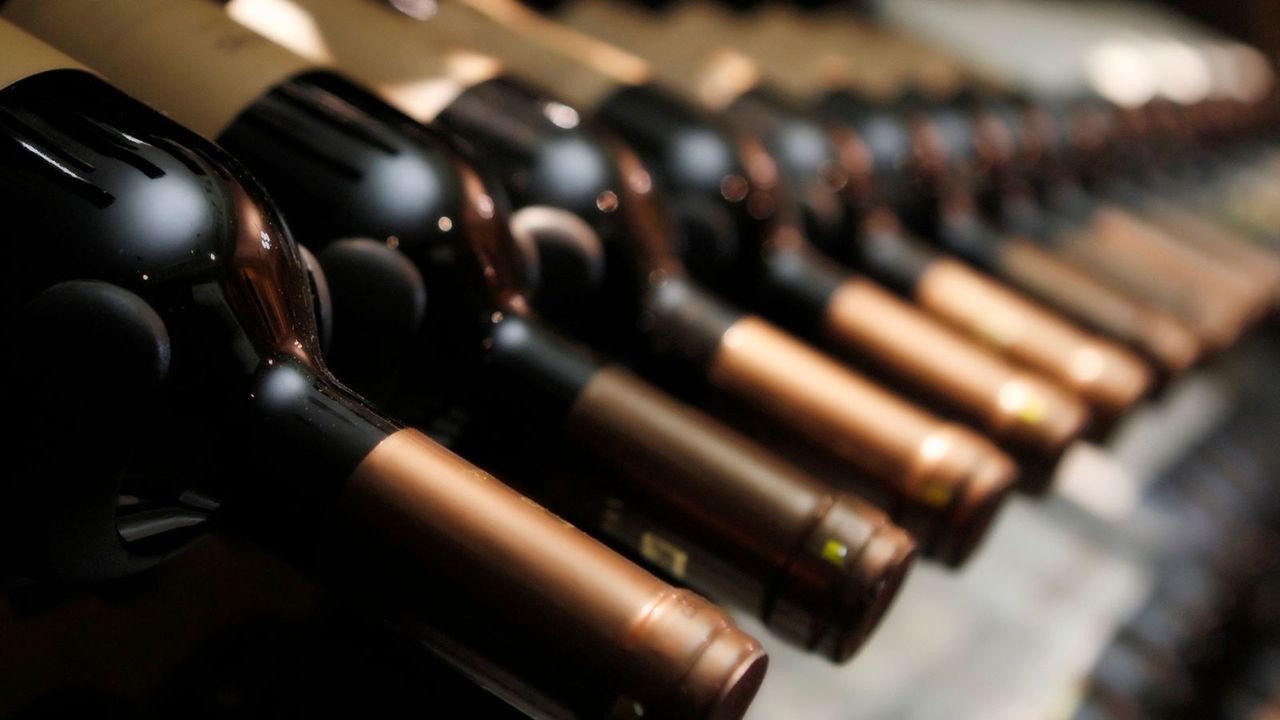 Basics of Red Wine for Yacht Stews